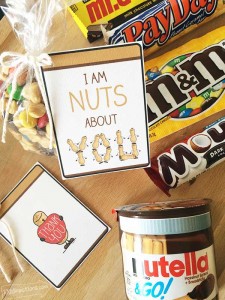 I'm Nuts About You Teacher Appreciation Gift Idea - 100 Directions
