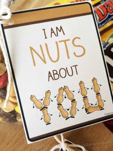 I'm Nuts About You Teacher Appreciation Gift Idea - 100 Directions