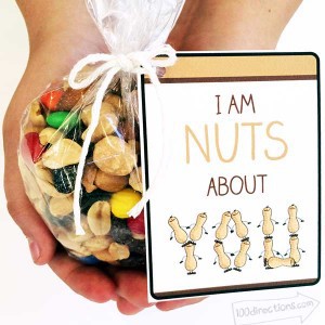 I'm Nuts About You Teacher Appreciation Gift Idea - 100 Directions