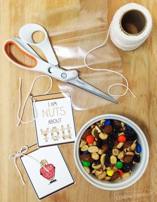 I'm Nuts About You Teacher Appreciation Gift Idea - 100 Directions