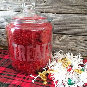 Glass Etched Treats Jar Cricut Project - 100 Directions