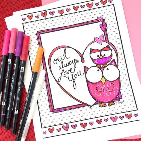 Owl Always Love You Valentine Kit - 100 Directions