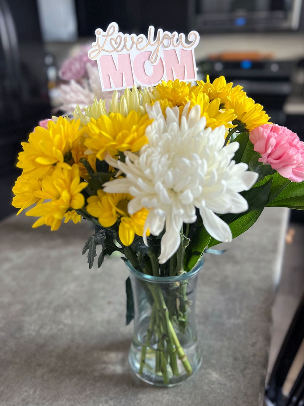 I Love You Mom SVG Cut File - 100 Directions