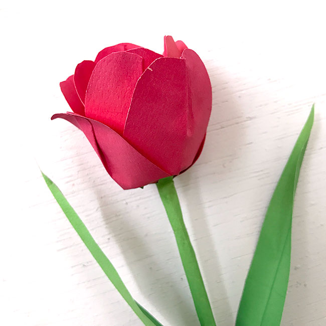 Make a Paper Tulip - 100 Directions