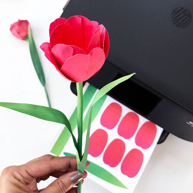 Make a Paper Tulip - 100 Directions